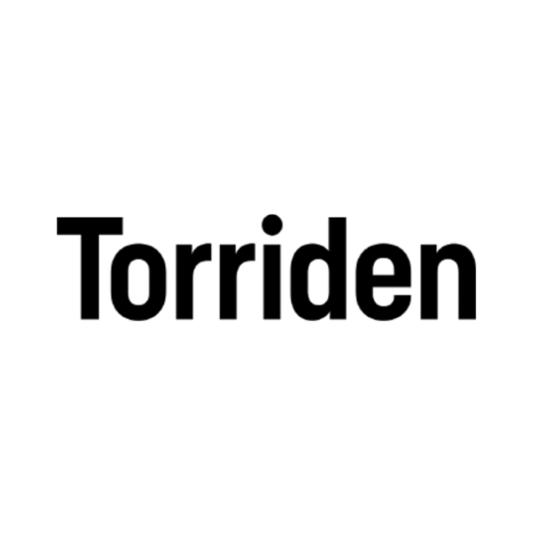 TORRIDEN – The Skin Counter